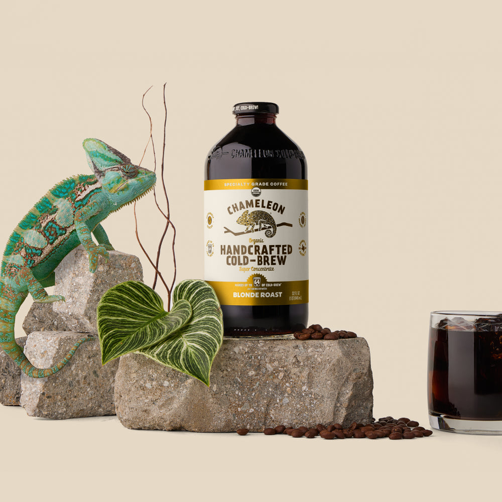 Coffee Concentrates – Chameleon Cold-Brew